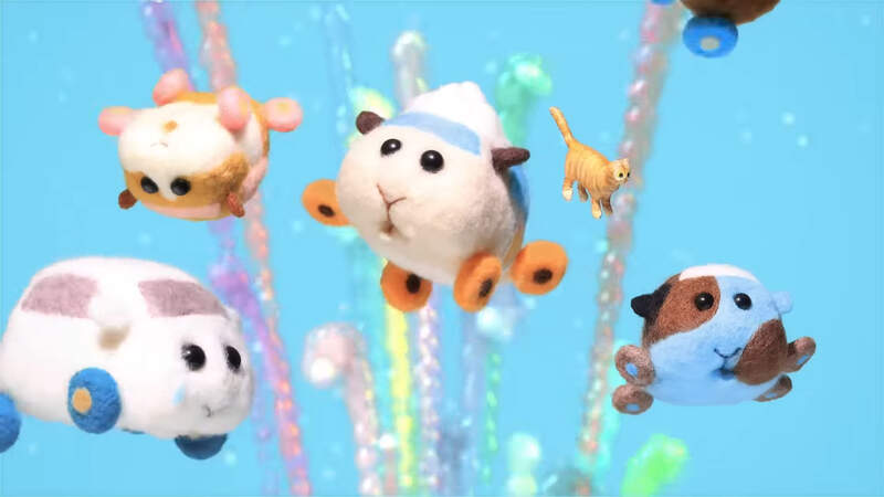 新系列預告《PUI PUI 天竺鼠車車》全新內容2022年秋季推出預定 | 宅宅新聞